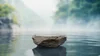 Trauma Healing | Jeffrey Rutstein, Psy.D. | Personal & Professional Support