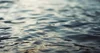 Trauma Healing | Jeffrey Rutstein, Psy.D. | Personal & Professional Support