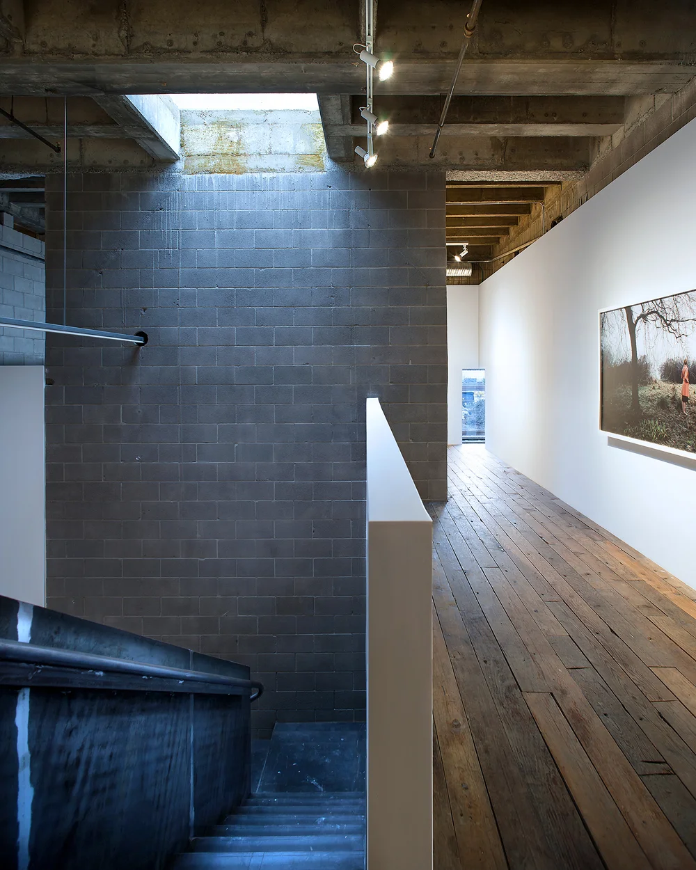 Monte Clark Gallery — D'Arcy Jones Architects