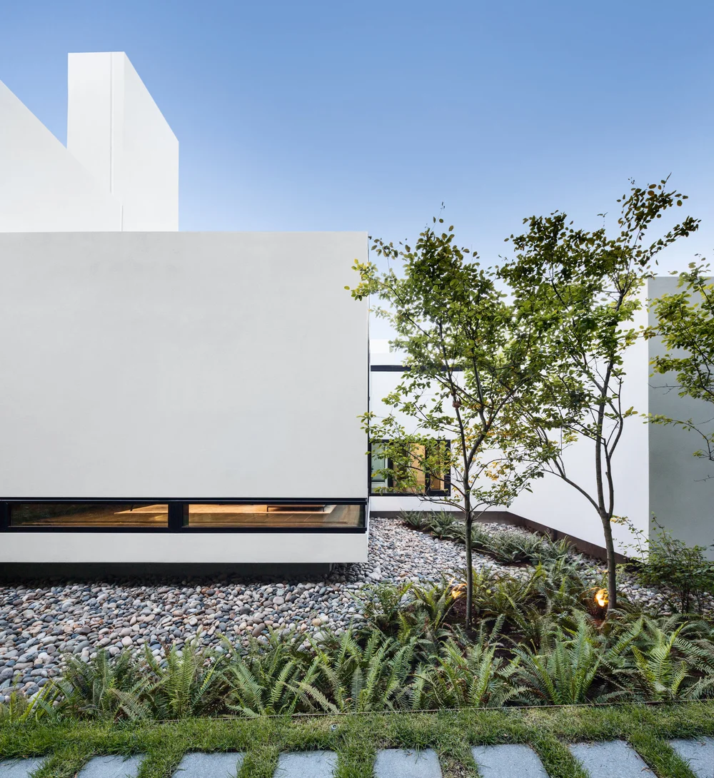 Yan House — D'Arcy Jones Architects