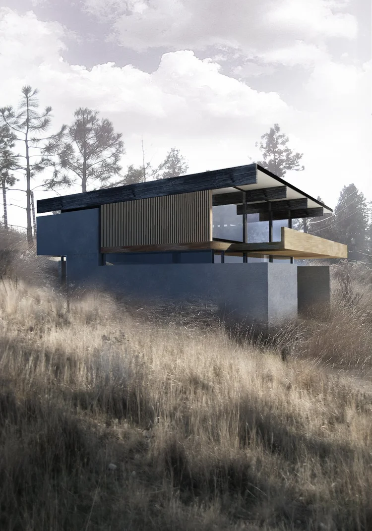 McConnell House — D'Arcy Jones Architects