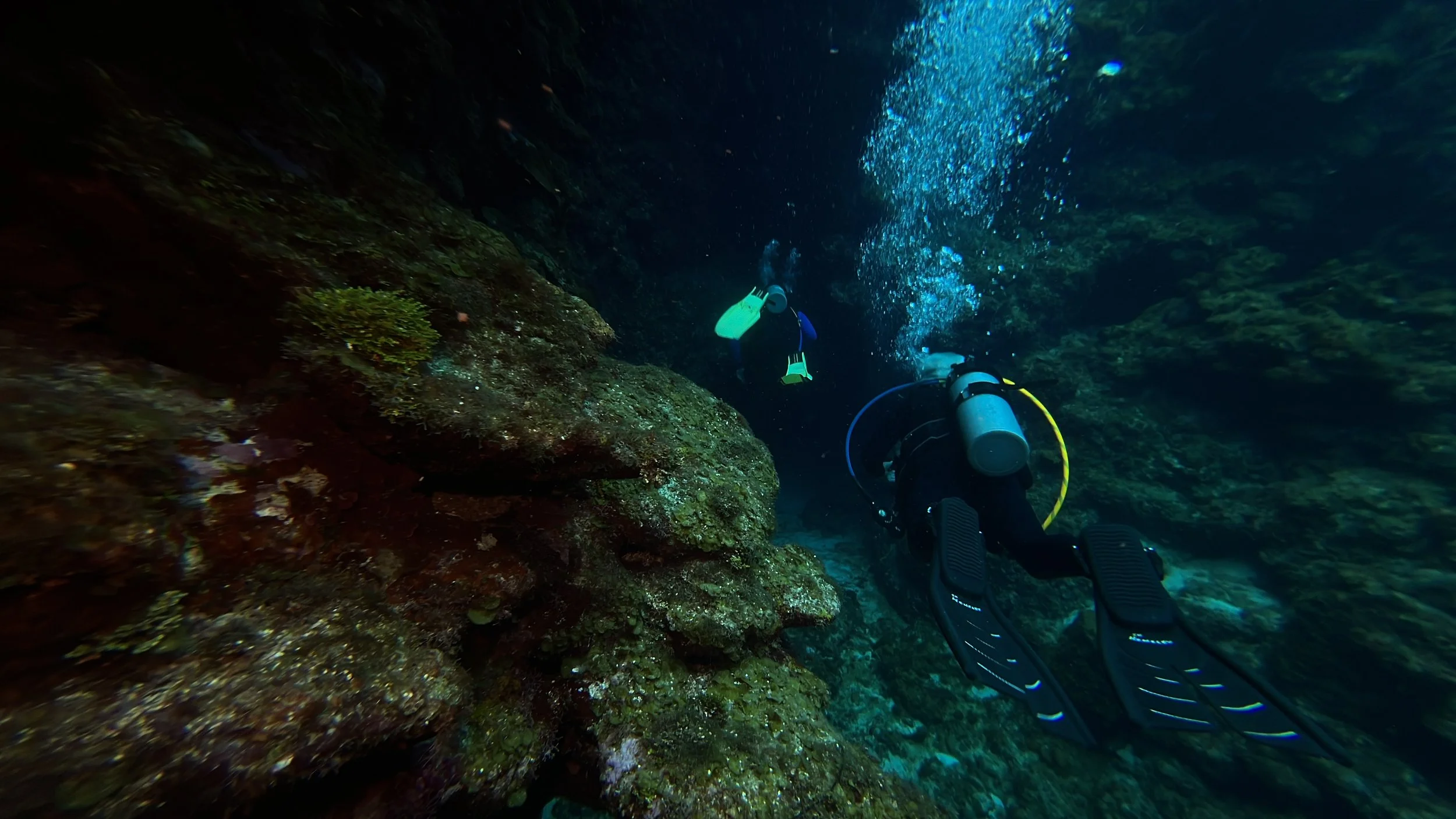 Oregon Scuba Club