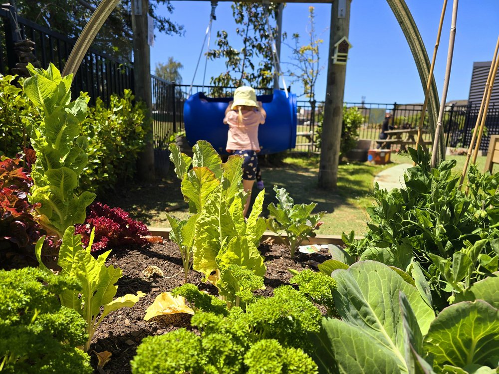 Motueka Kindergarten — Nelson Tasman Kindergartens