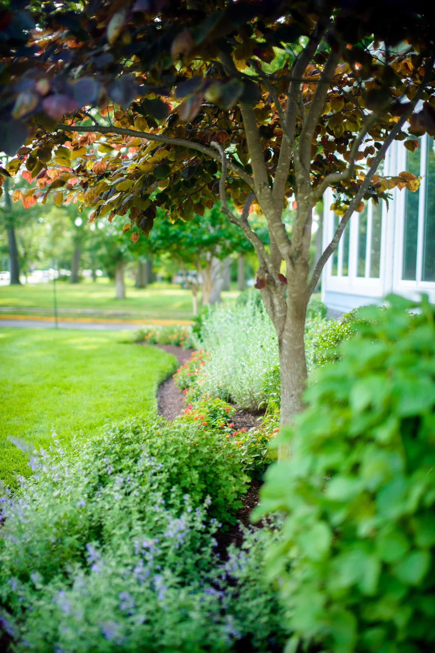 Outdoor Solutions Landscaping