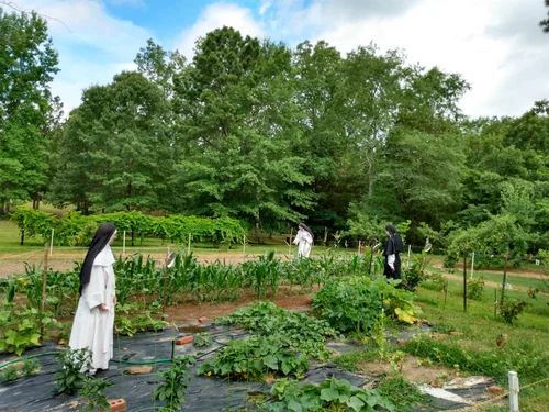 Monastic — Dominican Monastery of St. Jude