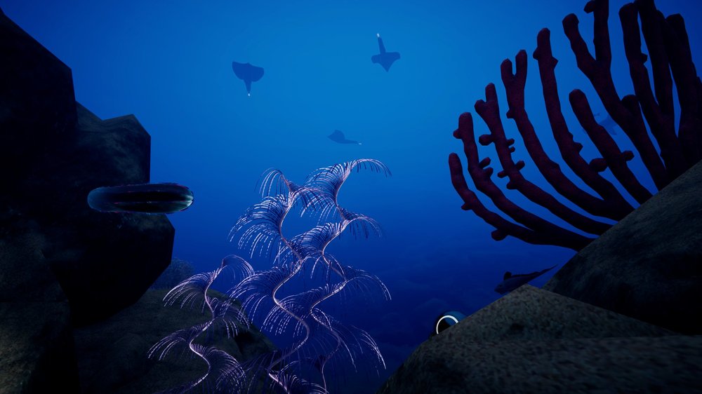 A Massive Free Update For Beyond Blue — Beyond Blue