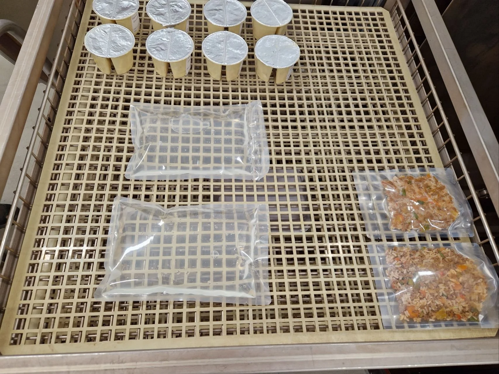 Process Optimisation & Validation — The Food Incubator