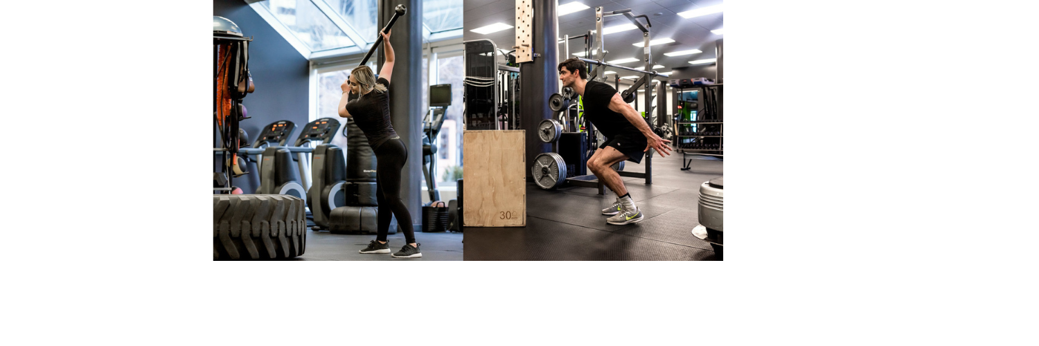 Trainers — Club Form Denver