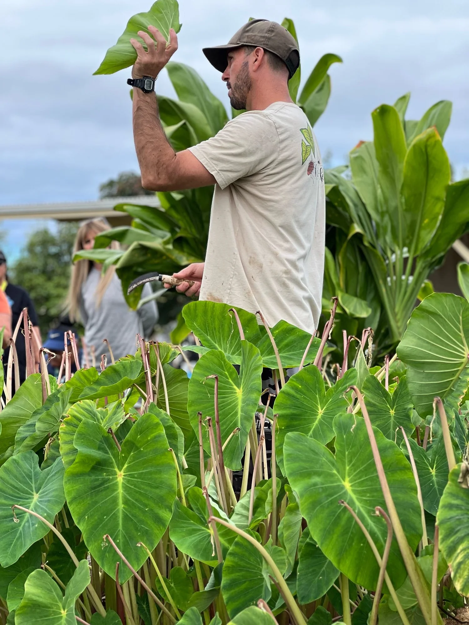 'O Maku'u Ke Kahua