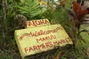 Makuʻu Market — 'O Maku'u Ke Kahua