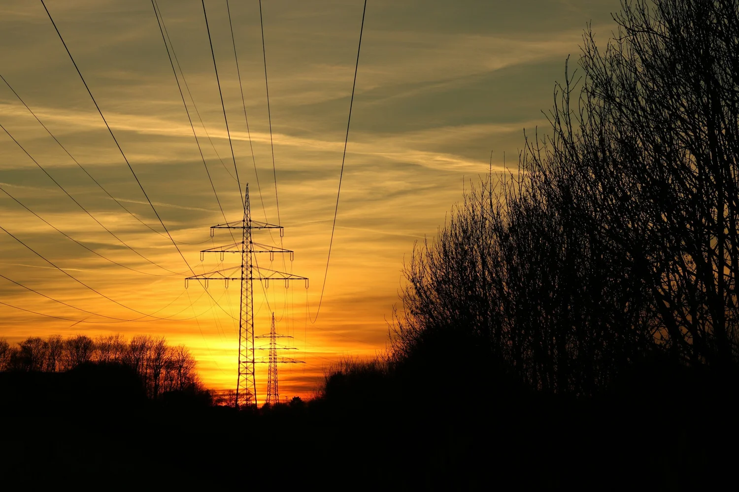 Thumb Electric Cooperative