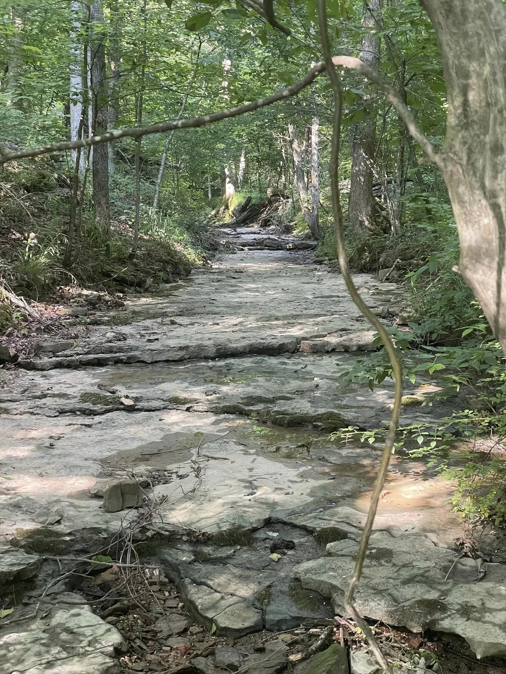 CRM Family Fun Trails
