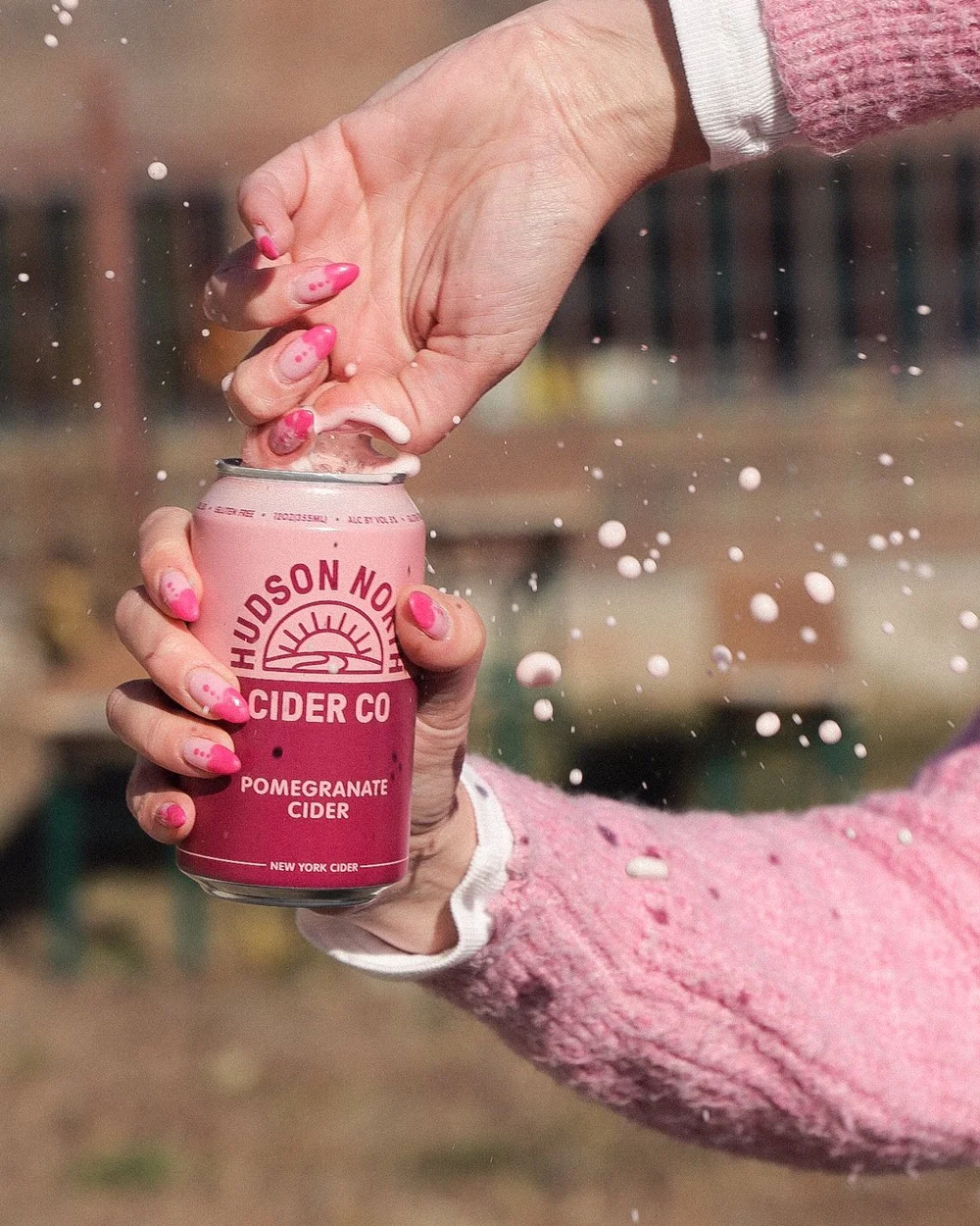 Cider — Hudson North Cider Co