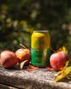 Cider — Hudson North Cider Co