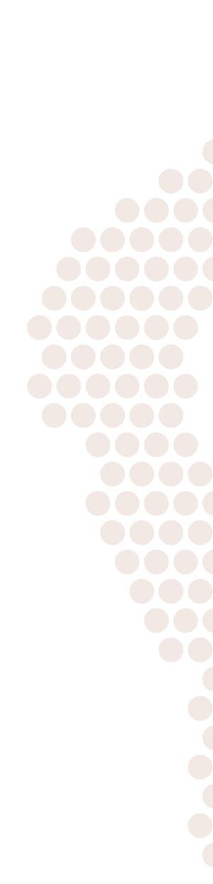 BrickFire | Wood Fired Oven