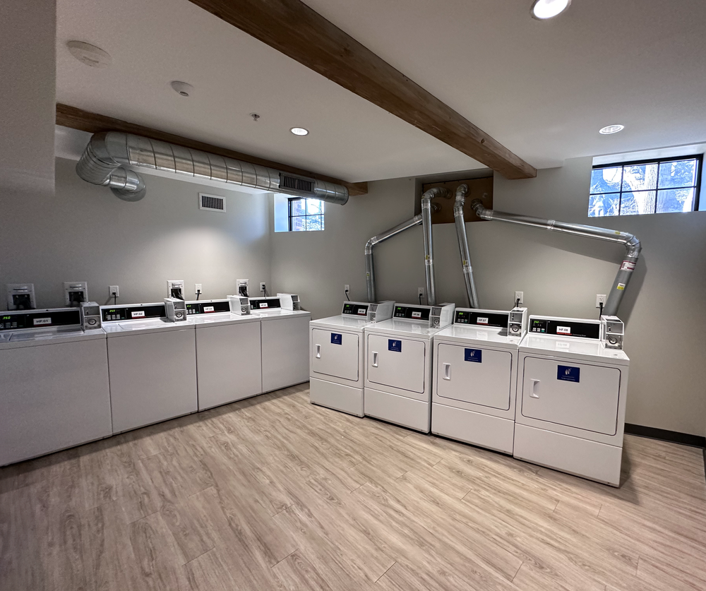 Services 2 — Plain Silver Multi-Family Laundry