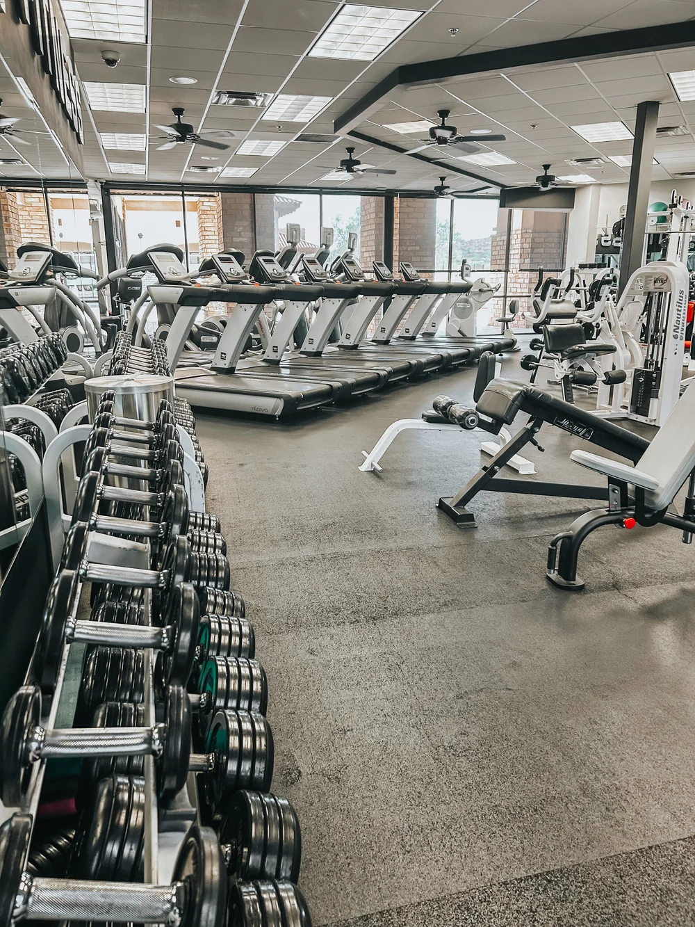 The Gym AZ | Achieve Your Fitness Goals Today
