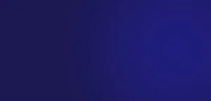 Deb Krishnadasan, Democrat for State Senate