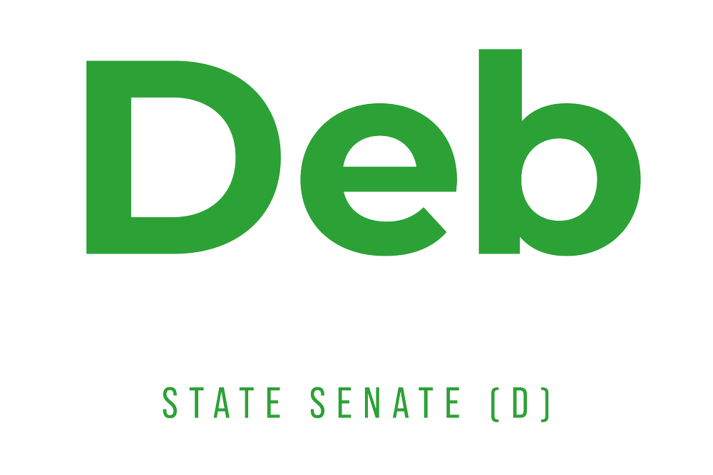 Deb Krishnadasan, Democrat for State Senate