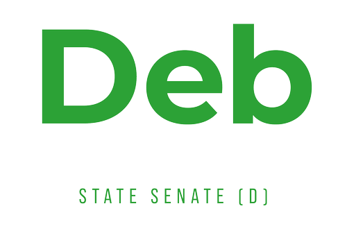 Deb Krishnadasan, Democrat for State Senate