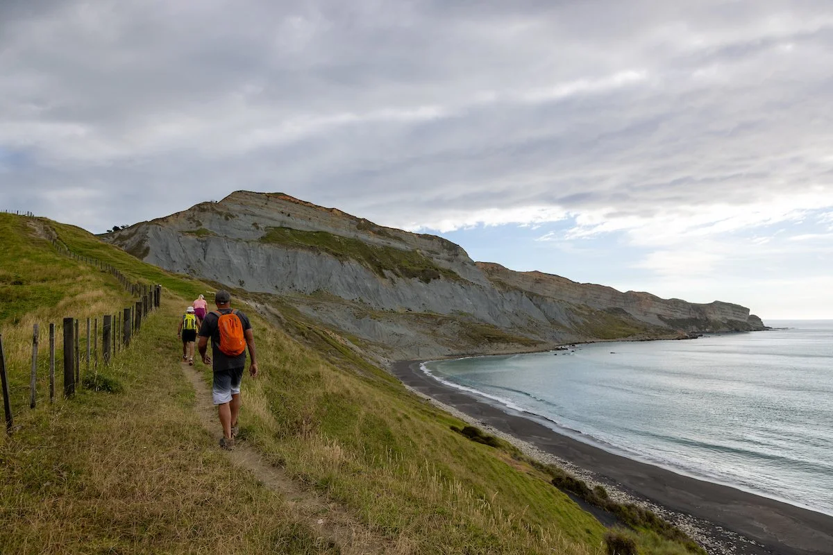 Nuku Walk | Where Wild Meets Wonderful