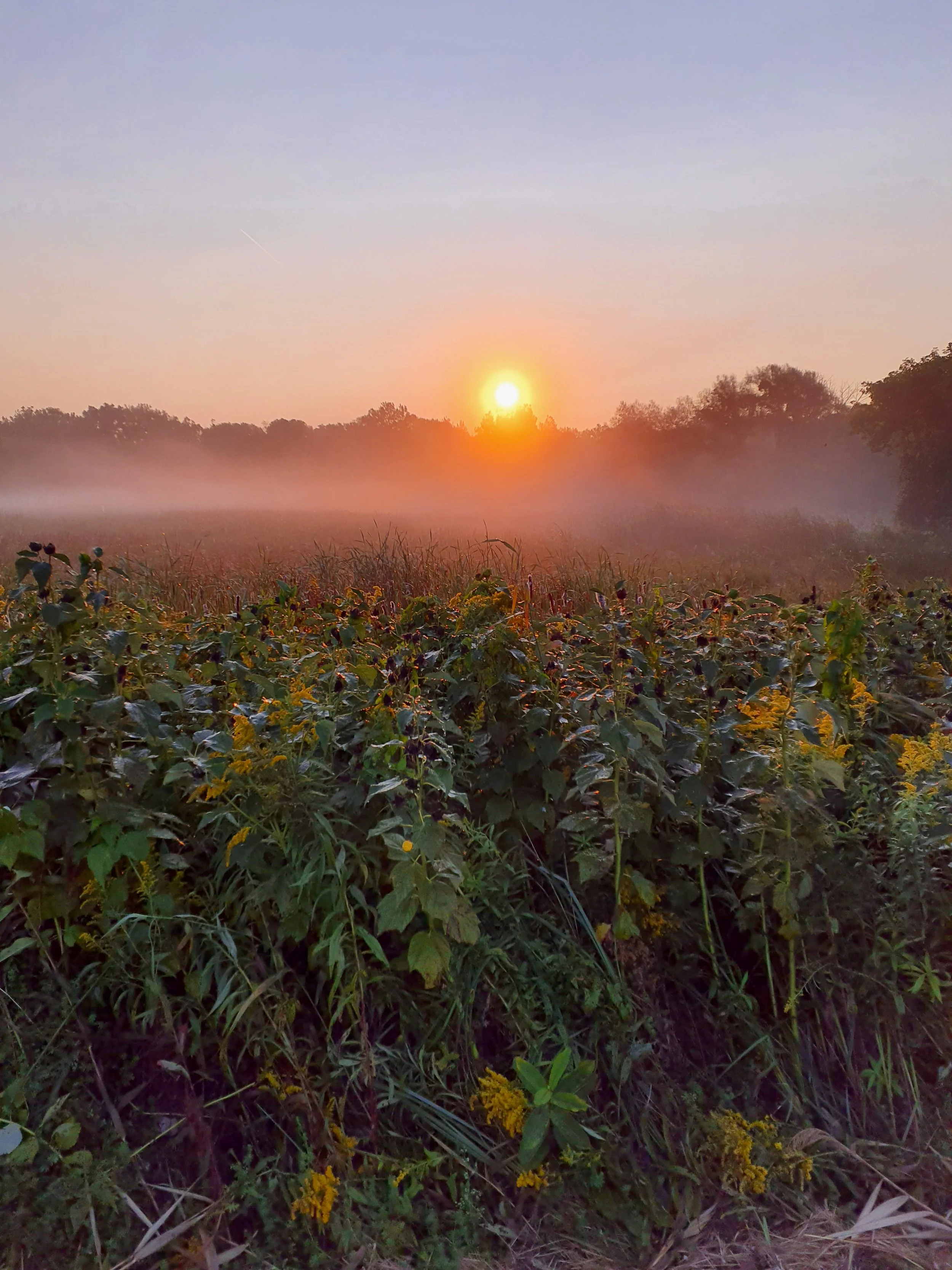 Interested in Working With Us? — Mid-Atlantic Regional Seed Bank