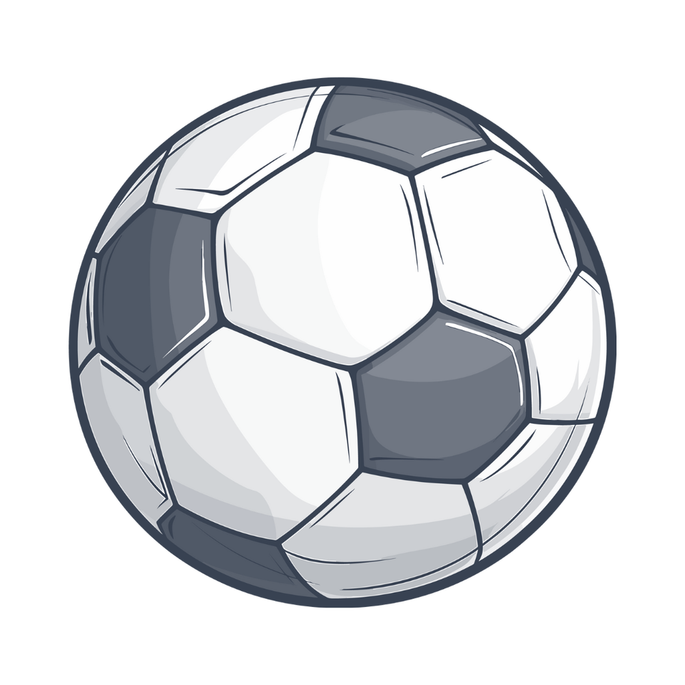 Programs — Nick Rizzo International Football Academy