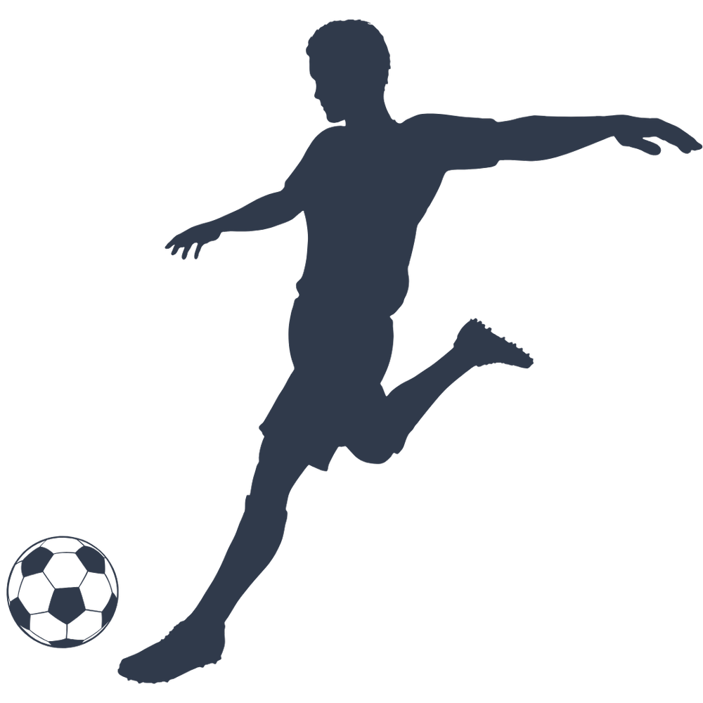 Programs — Nick Rizzo International Football Academy