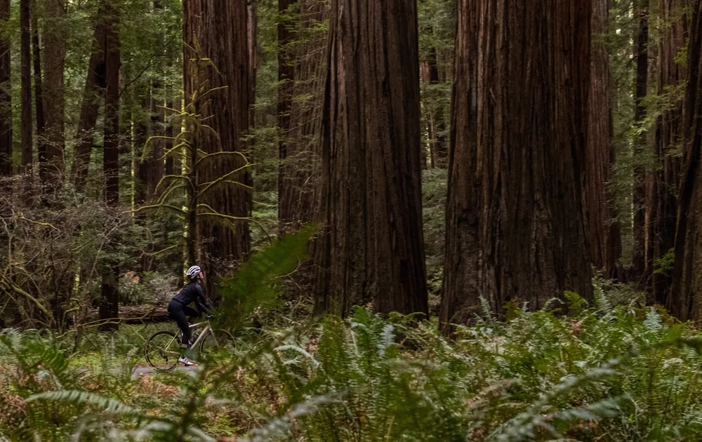 Ukiah Mendo Gravel Epic | Explore & Ride—Join Now — Grasshopper ...