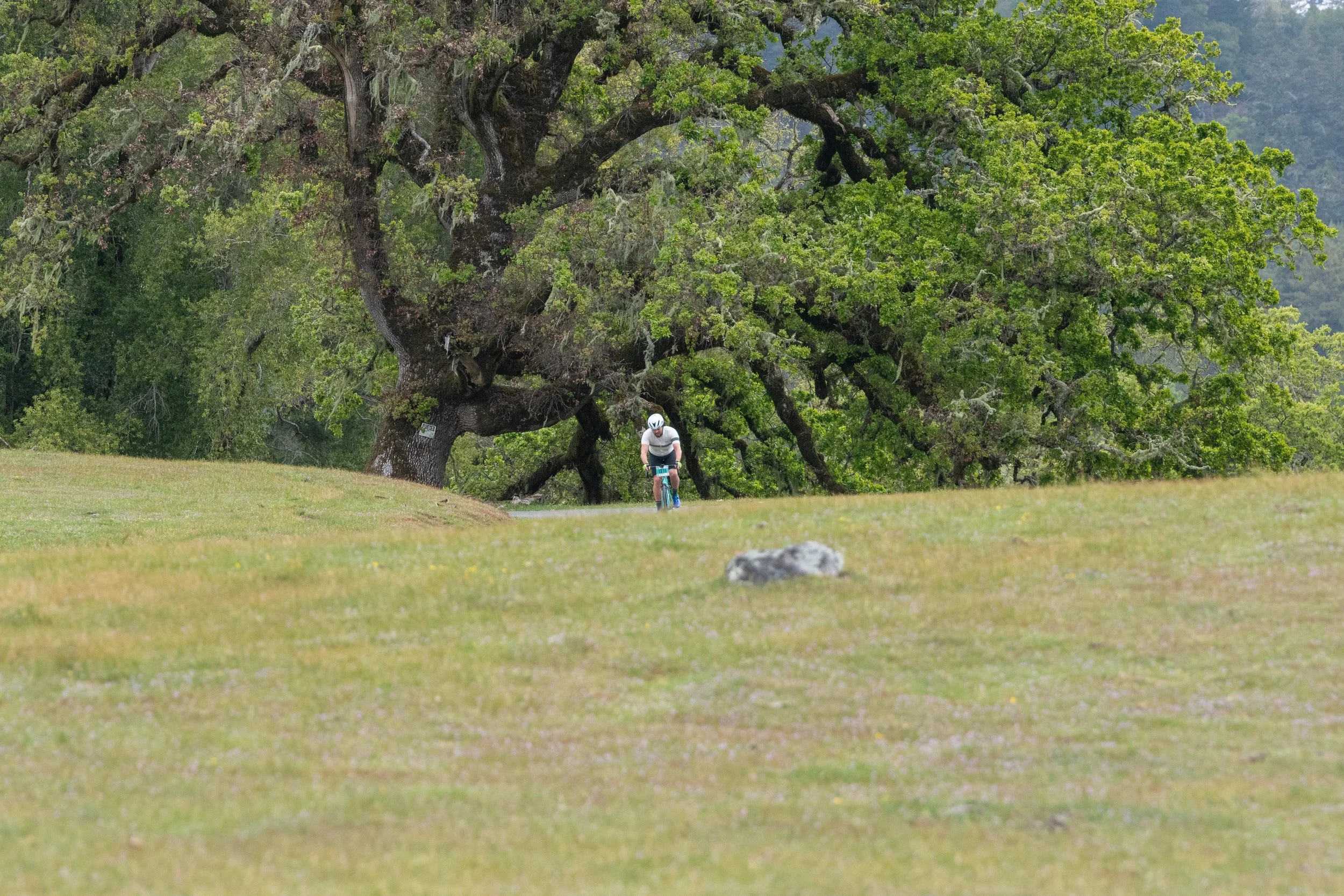 King Ridge | Experience the Adventure Today — Grasshopper Adventure Series