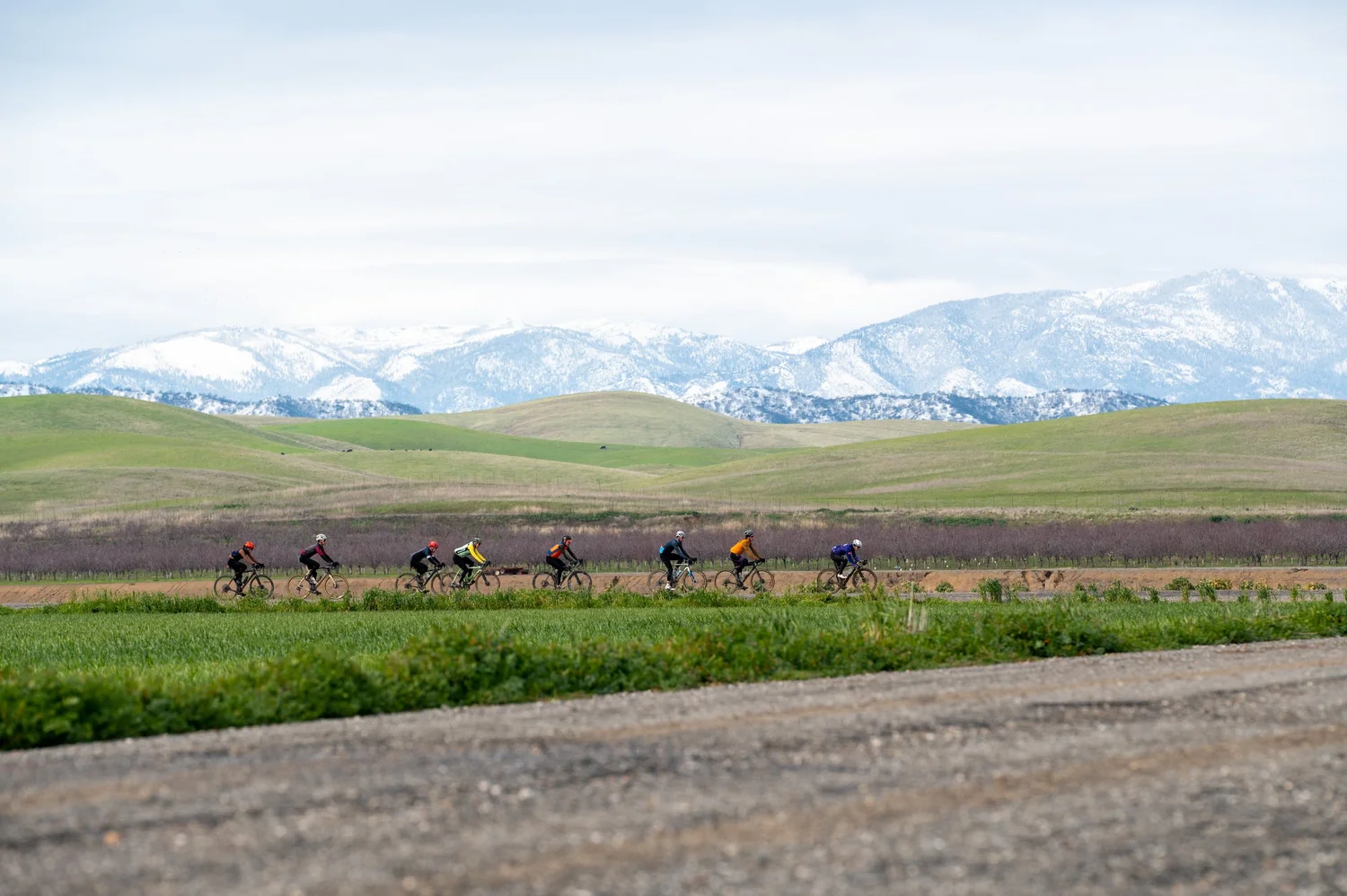 Huffmaster — Grasshopper Adventure Series