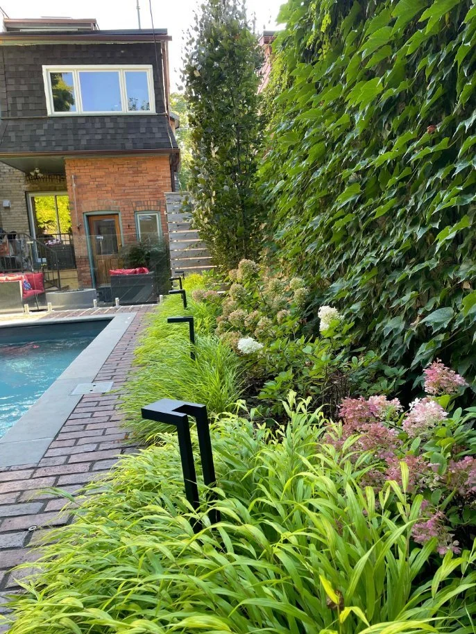 Backyard Landscape and Design | Green Apple Landscaping