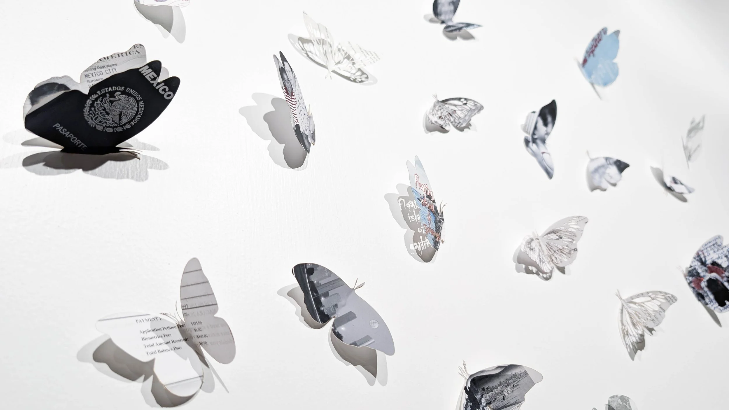Nos Cortaron las Alas y Aún Volamos by Karla Ramirez-Santin — Hyphen Space
