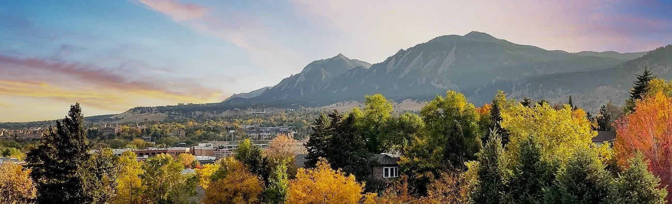 Building Wellness - Green Building Strategy + Cost Consulting