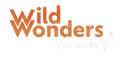 Wild Wonders — BROOKE CARTER
