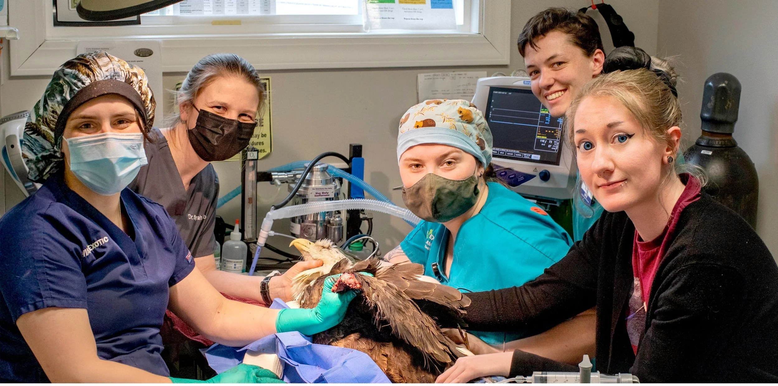 Wildlife Rehab & Hospital | Re-Wilding Indiana