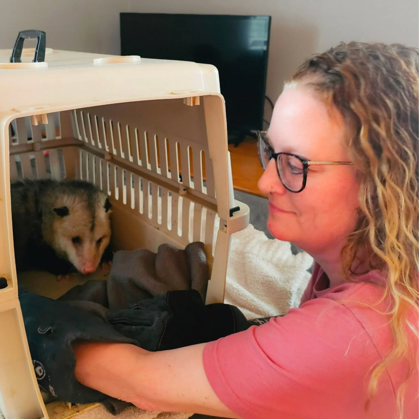 Rehabilitation Center | Support Wildlife Recovery Today — ReWilding Indiana