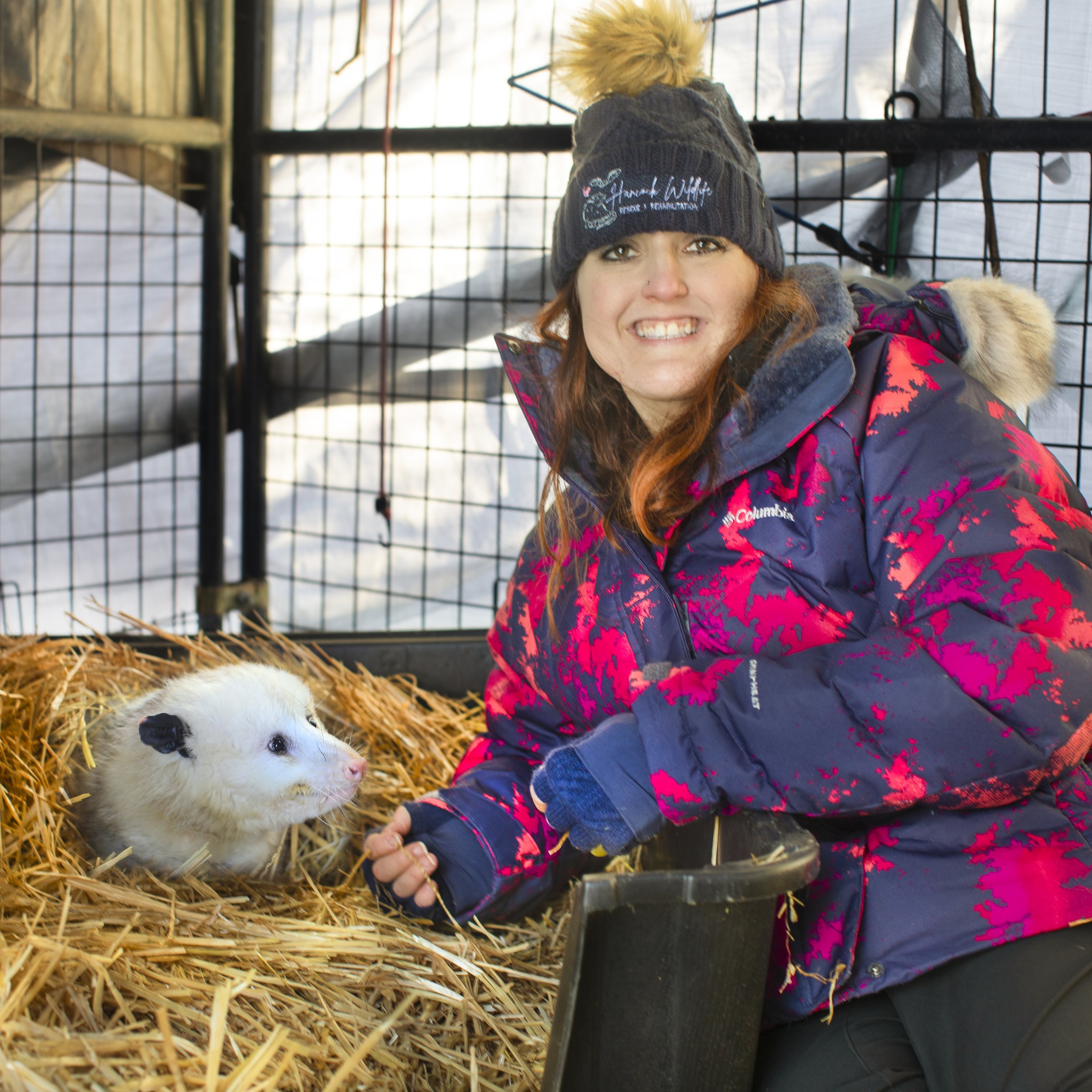 Rehabilitation Center | Support Wildlife Recovery Today — ReWilding Indiana