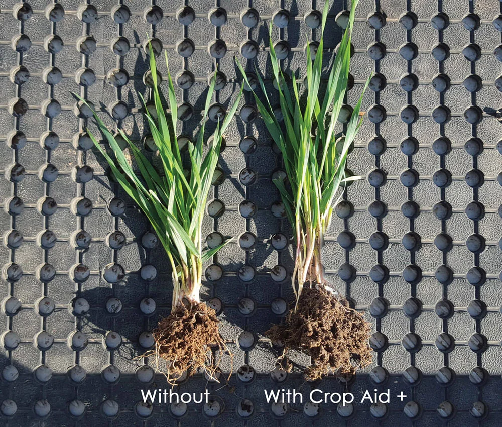 Crop Aid Nutrition Ltd. | Advanced Crop Nutrition and Soil Health Products