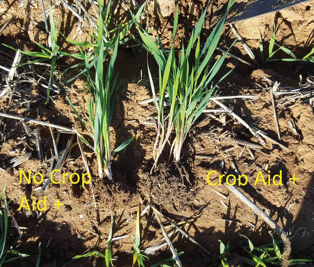 Crop Aid Nutrition Ltd. | Advanced Crop Nutrition and Soil Health Products