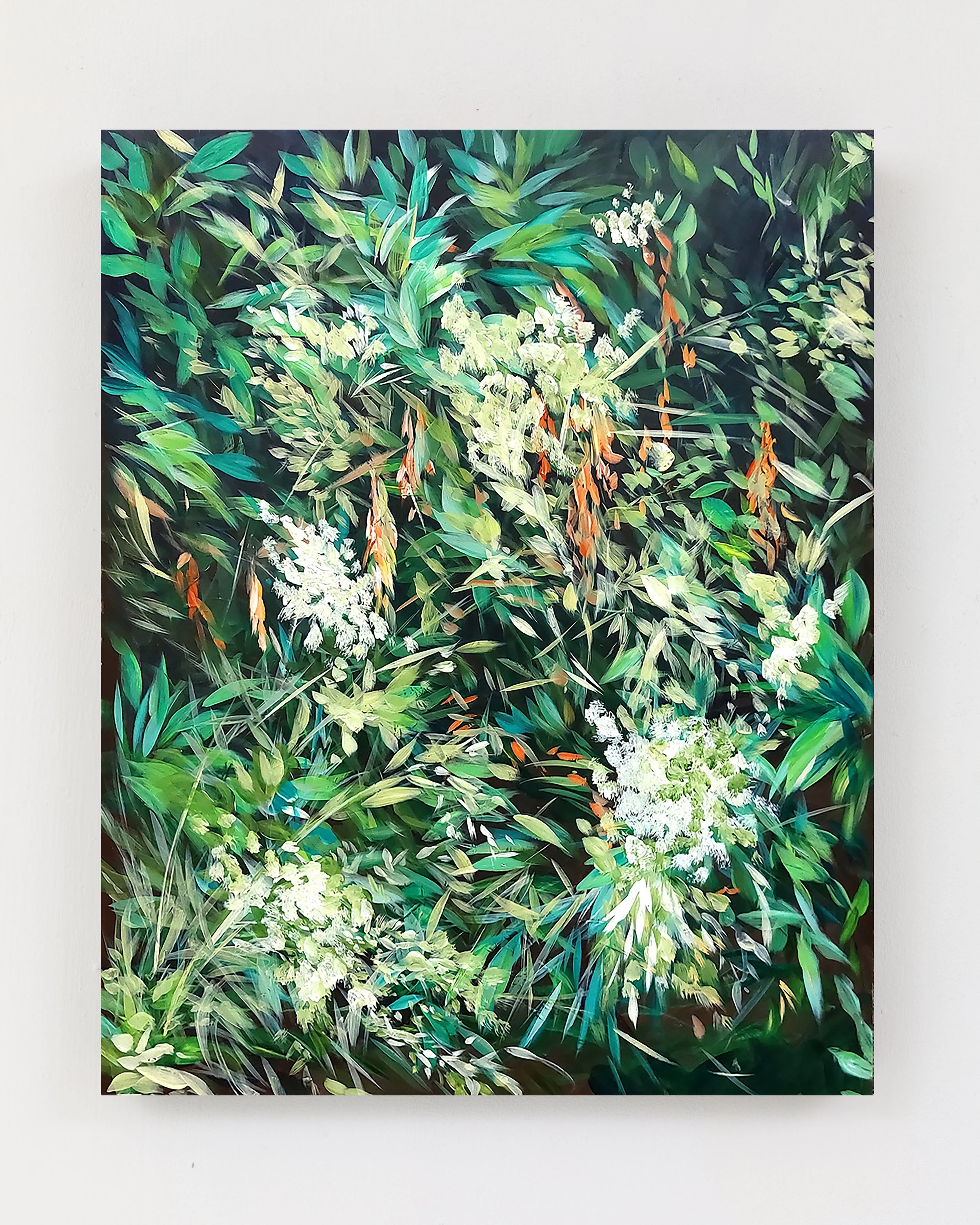Paintings on Panel — Daisy McMullan