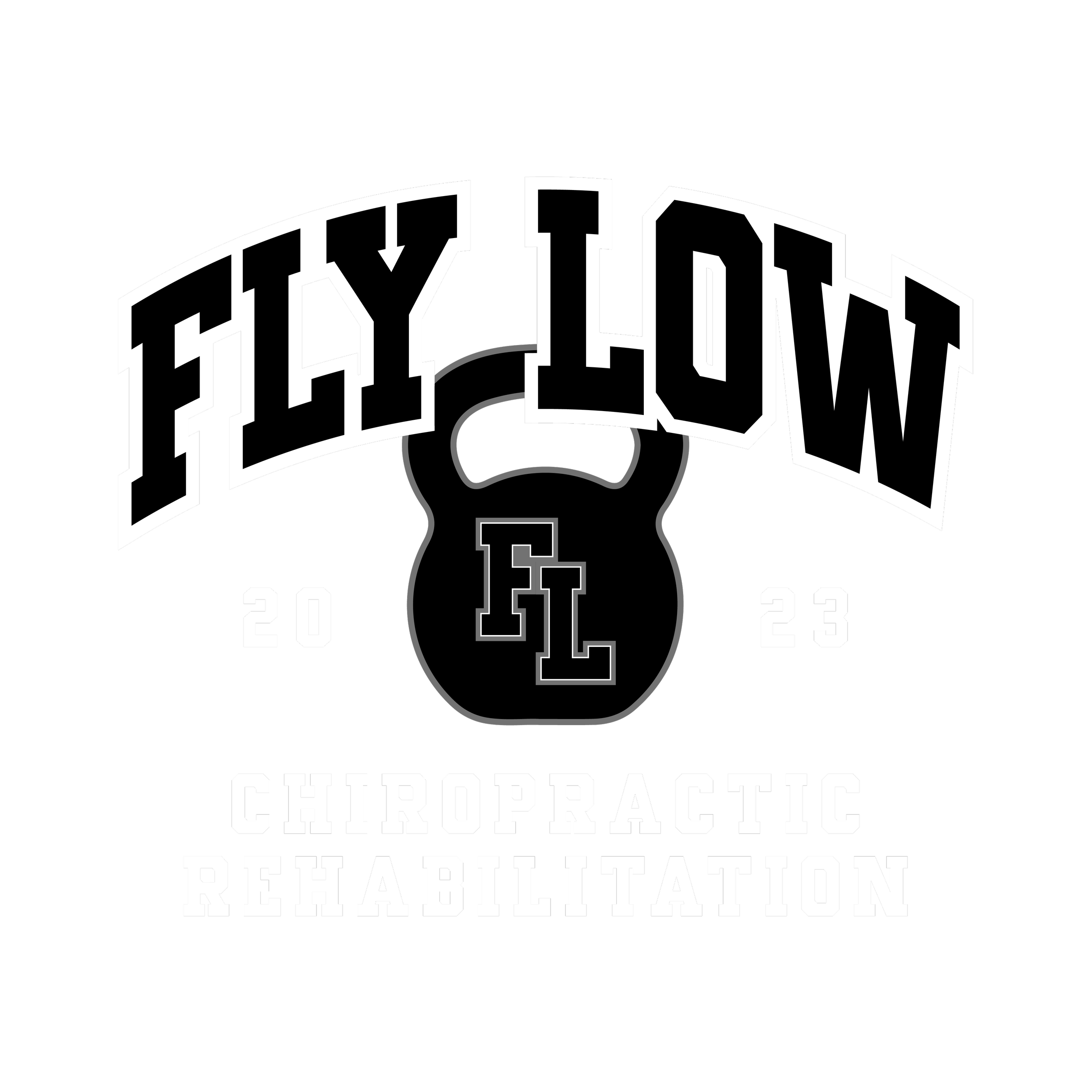 Fly Low Logo