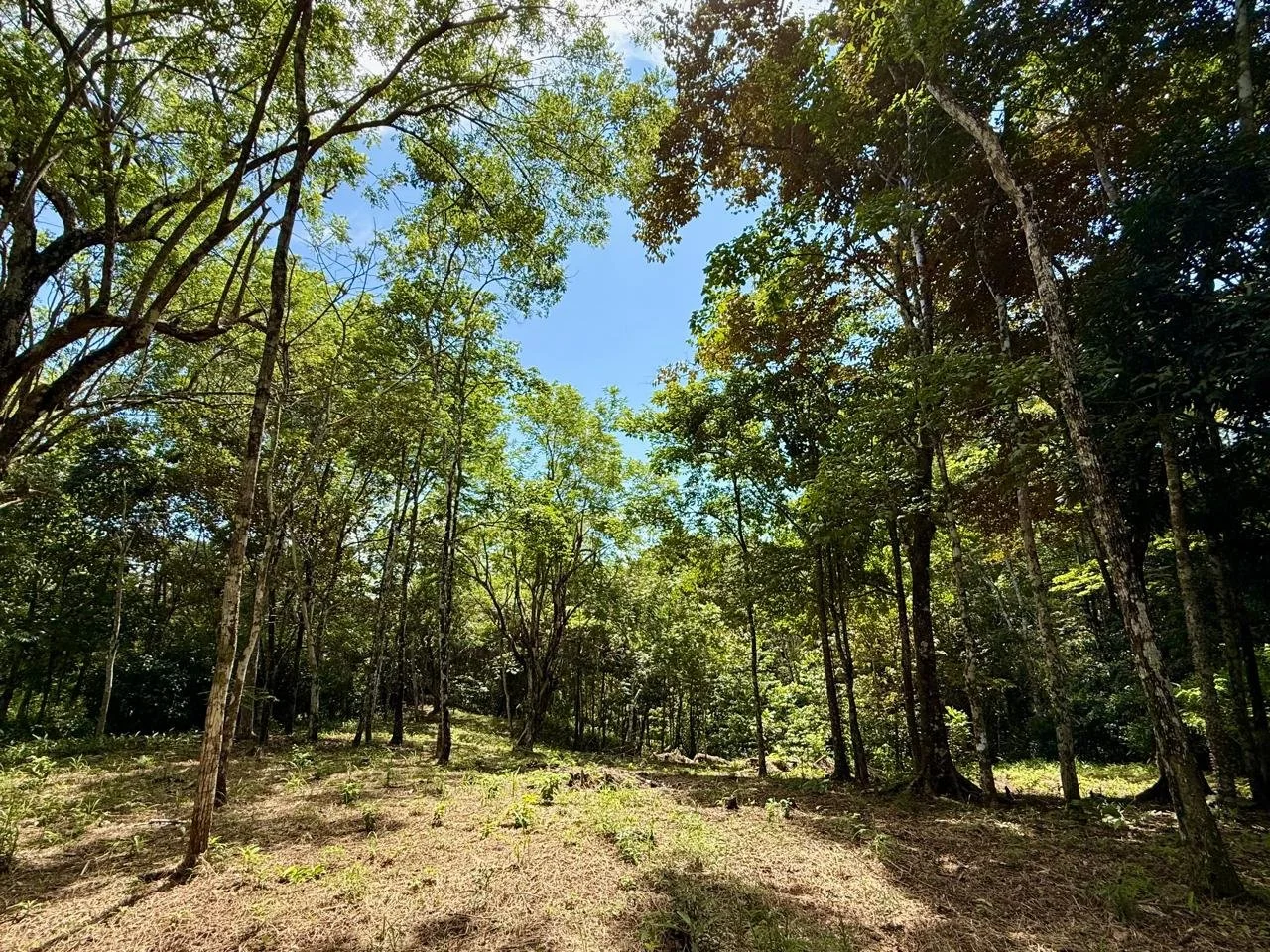 Listings | Discover Your Dream Property Today — paraíso pacífico real ...