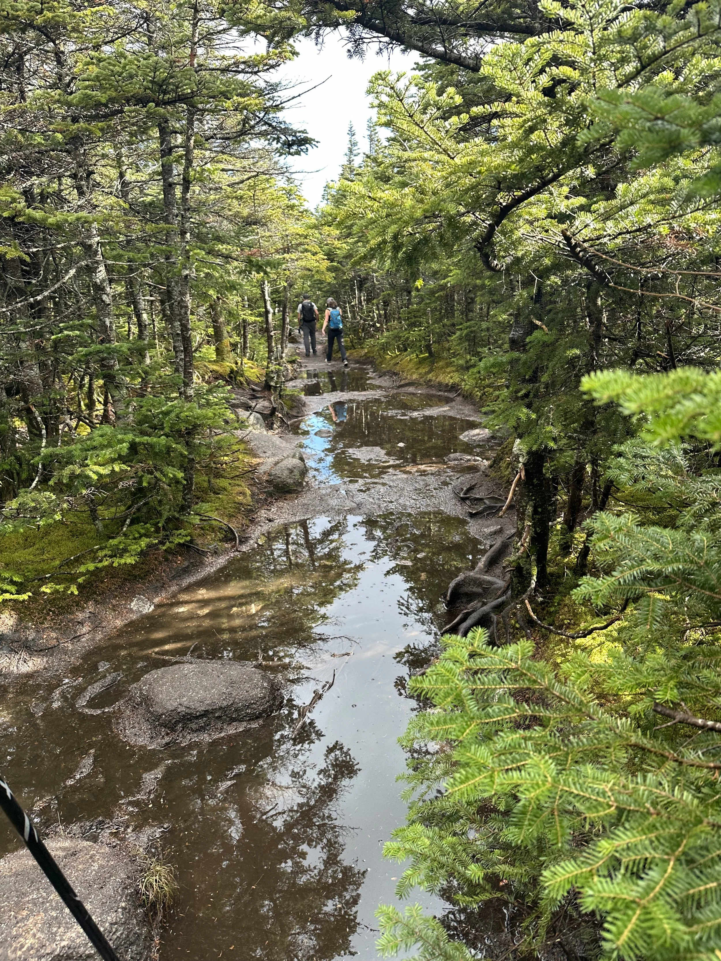 Mud Season Madness: More Alternative Outdoor Activities in New England ...