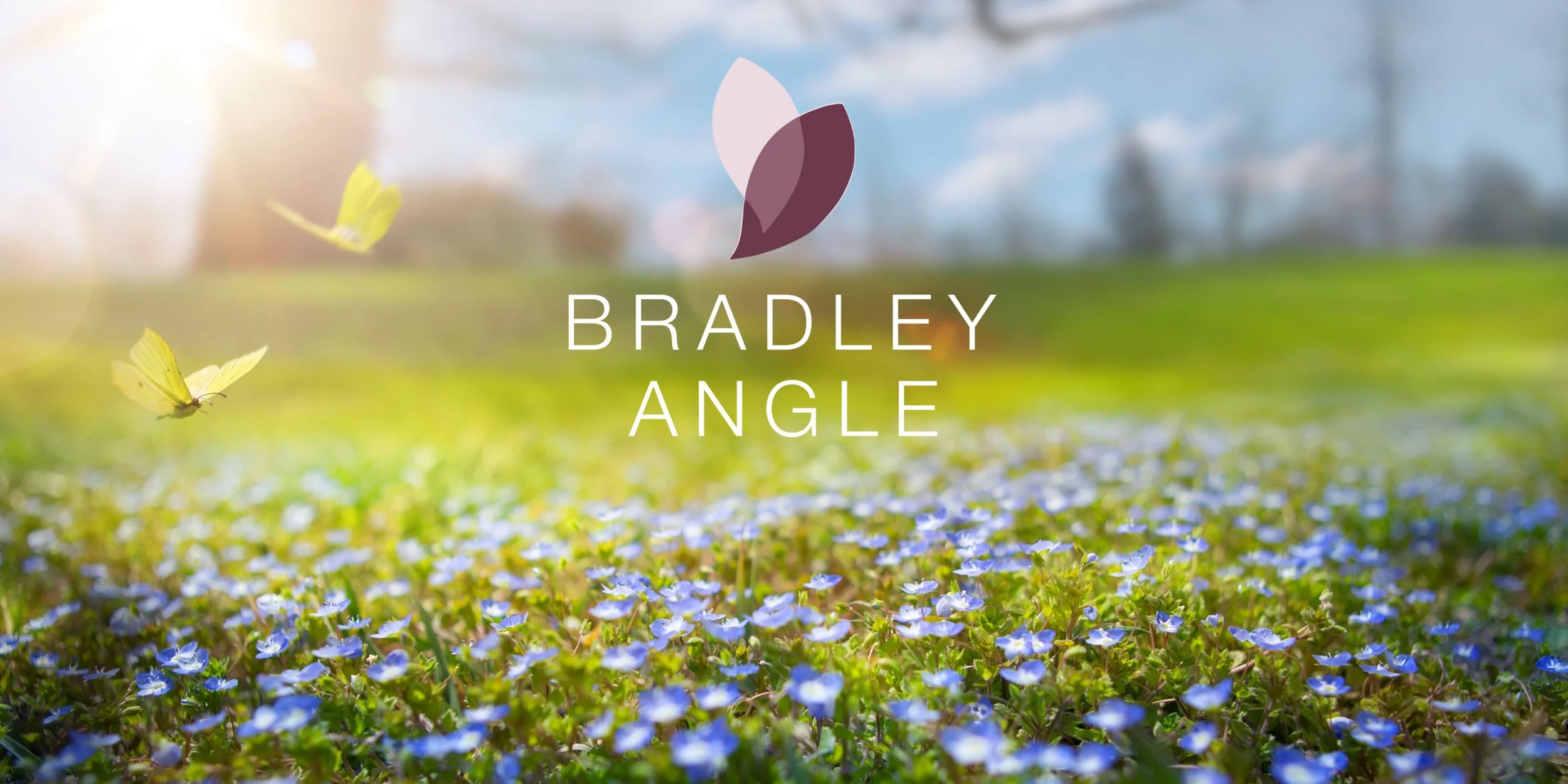 News & Stories — Bradley Angle