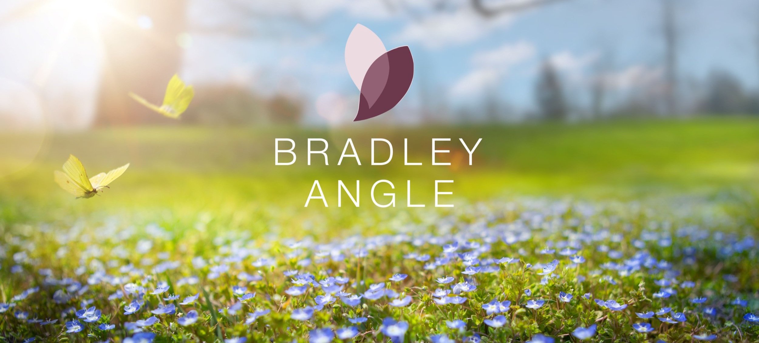 April Newsletter — Bradley Angle