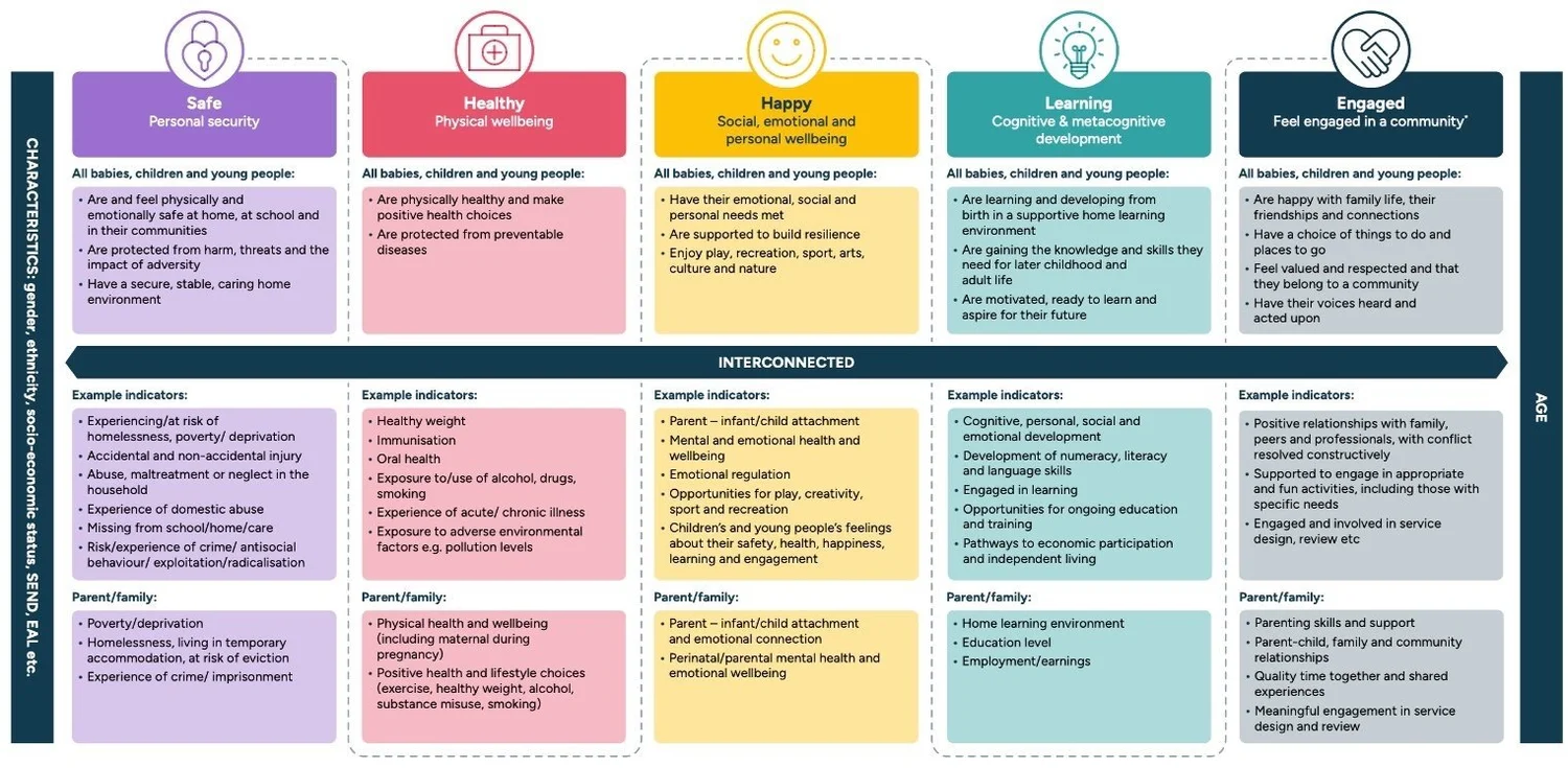 The Common Outcomes Framework for babies, children and young people ...