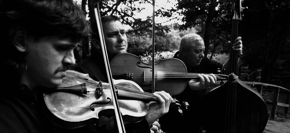Musician & Educator | Multi-instrumentalist — TCHA LIMBERGER