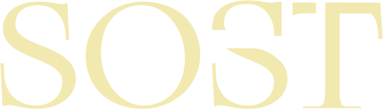 Vinyl Room | Experience Immersive Vibes — Book Now — Sost DC