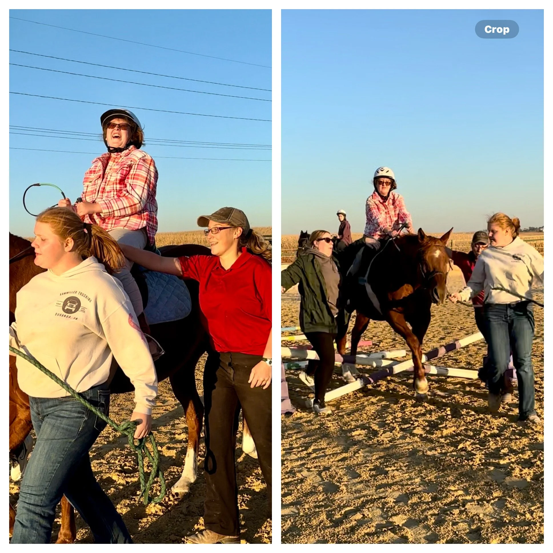 Sensory Trail, Why it Works, Horse Riding, Therapeutic Horse Riding ...